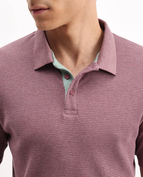 Buy Mello - Dusky Pink Regular Fit Plain Polo| Rare Rabbit