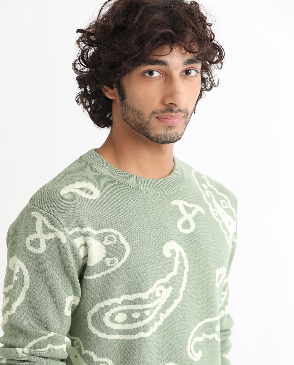 Rare Rabbit Mens Tori Light Green Viscose Nylon Fabric Crew Neck Full